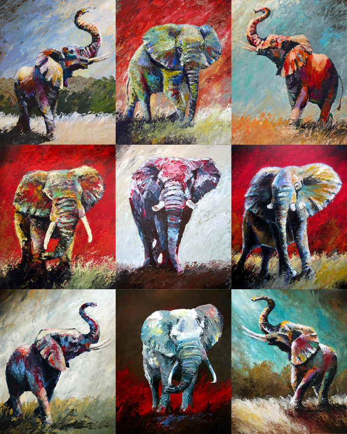 Elephant series - Signed canvas print by Thomas Andrew ...
