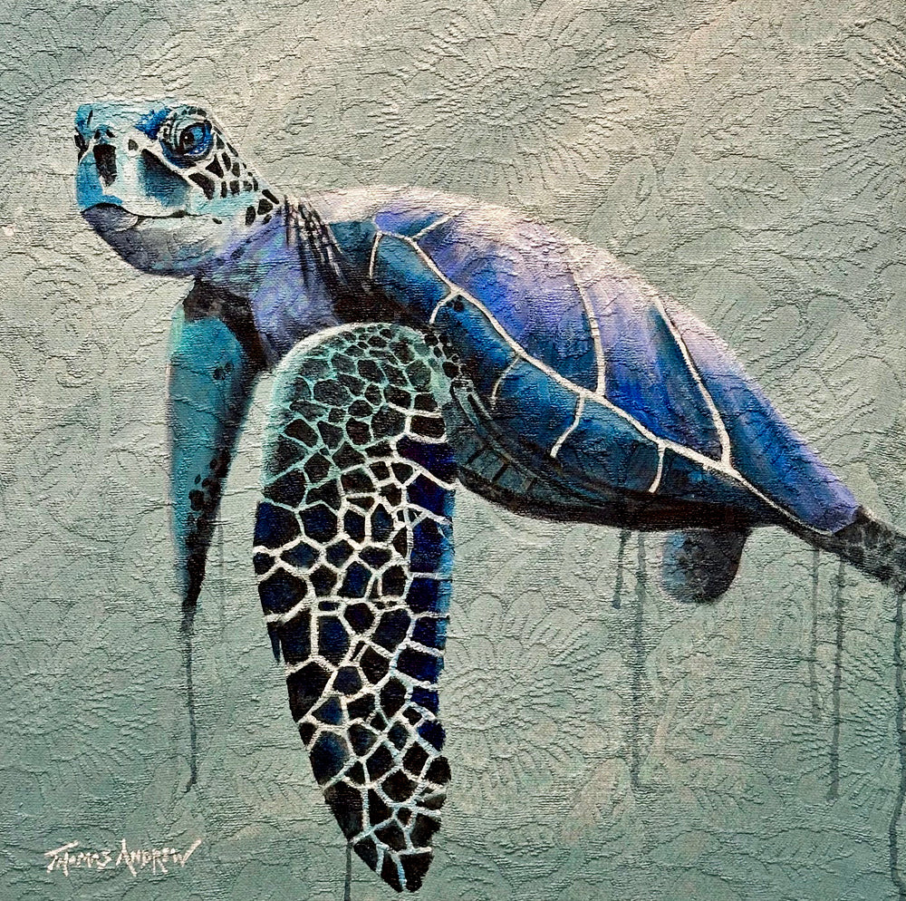 Sea Turtle #08 – ThomasAndrewArtwork